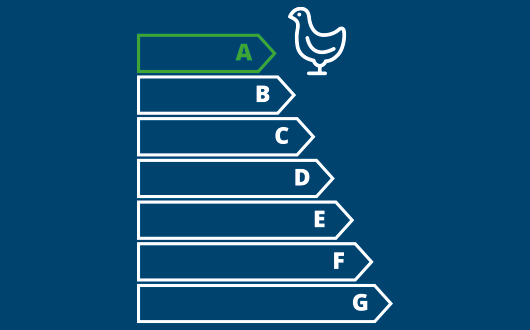 Energy-optimized poultry production