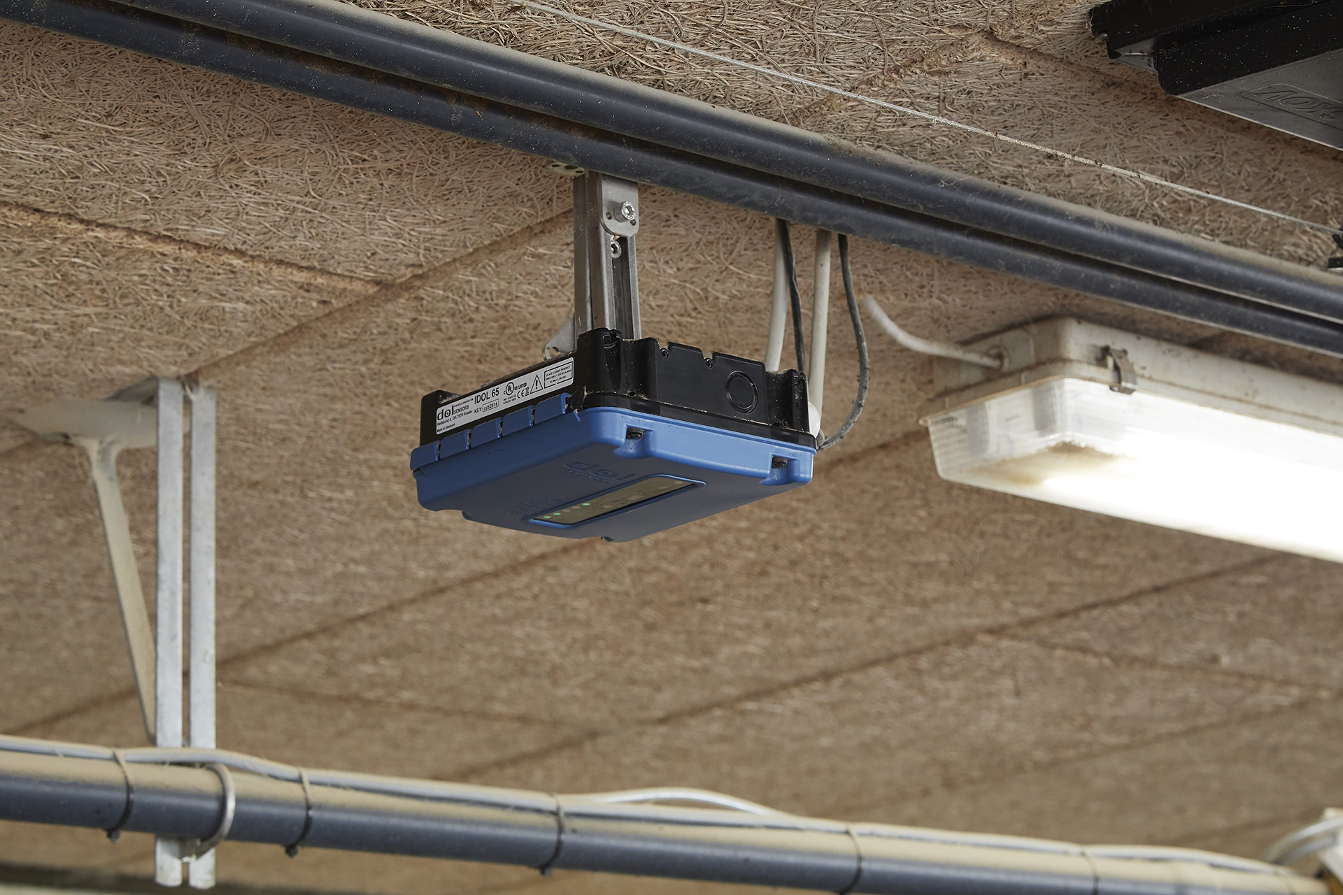 Lack of heat capacity affects the pigs in the weaner section.